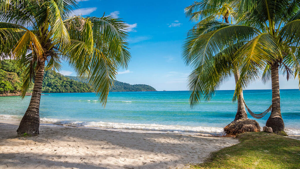 Travel Insurance Plans Quick Overview - InsureMyTrip